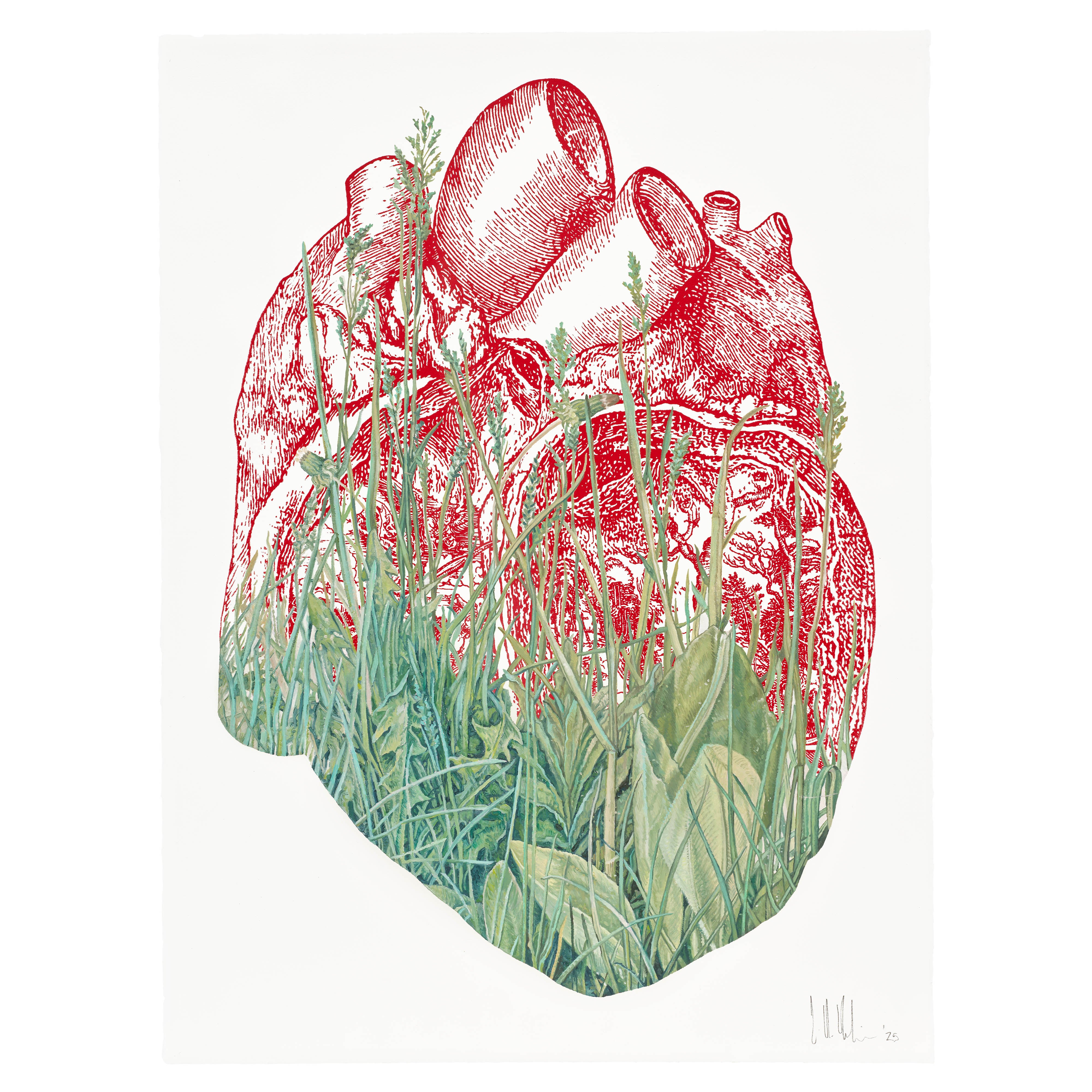 Eric Helvie, Little Heart (Great Piece of Turf after Dürer) – Dropshop