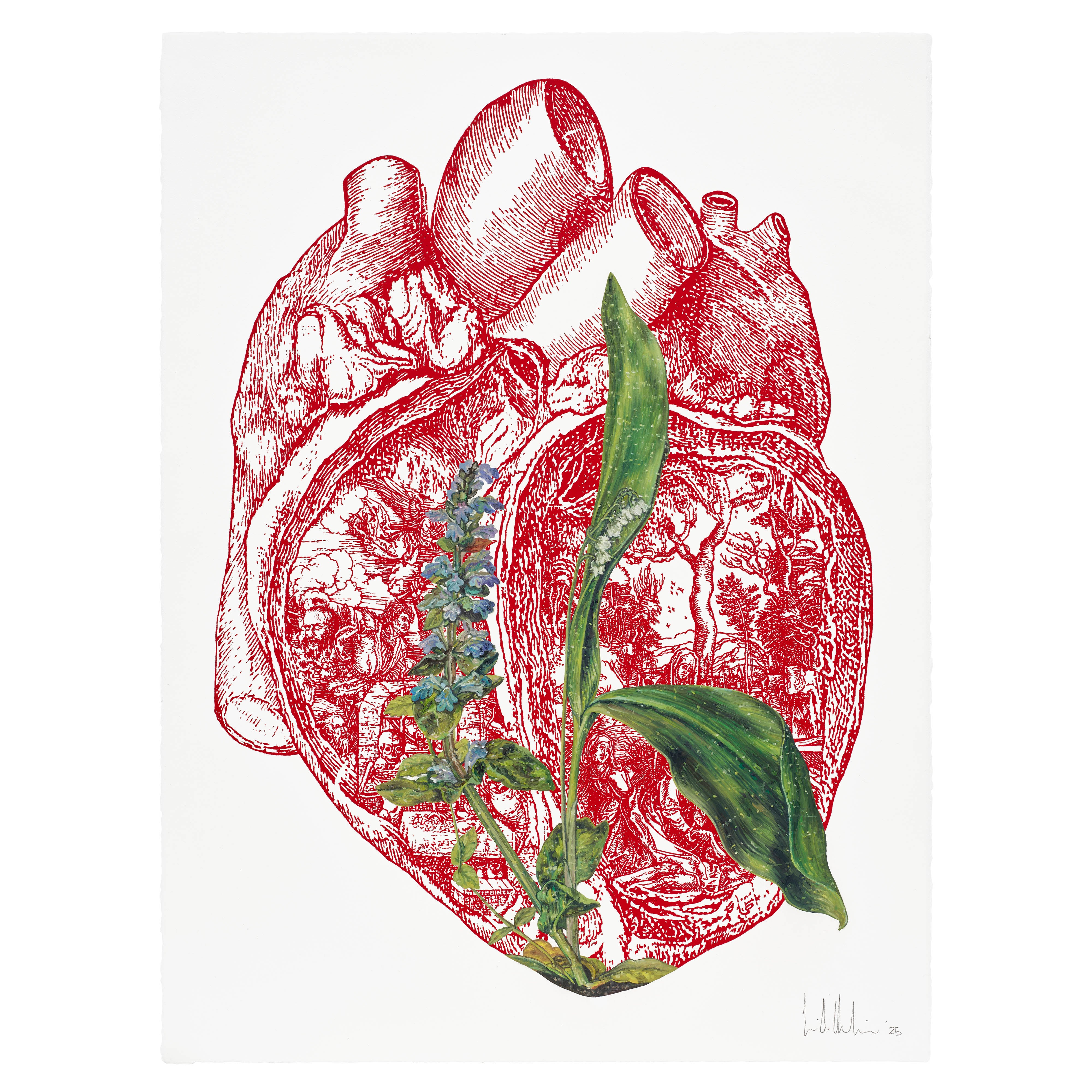Eric Helvie, Little Heart (Two plants after Dürer) – Dropshop