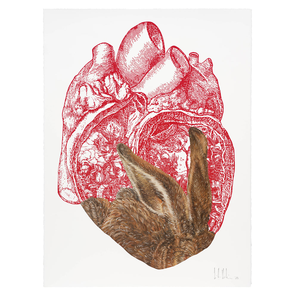 Eric Helvie, Little Heart (Ears from Young Hare after Dürer) – Dropshop