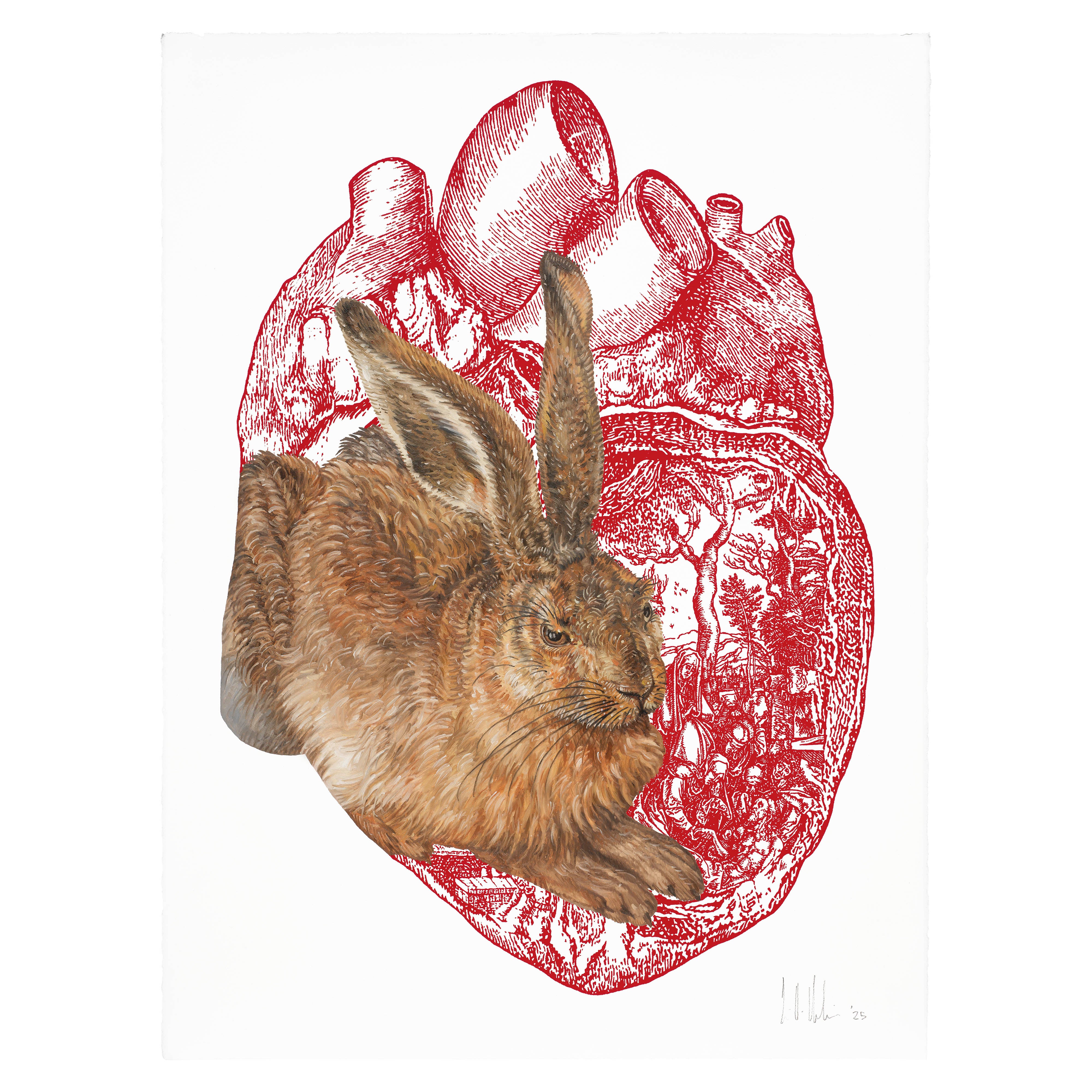 Eric Helvie, Little Heart (Young Hare after Dürer) – Dropshop